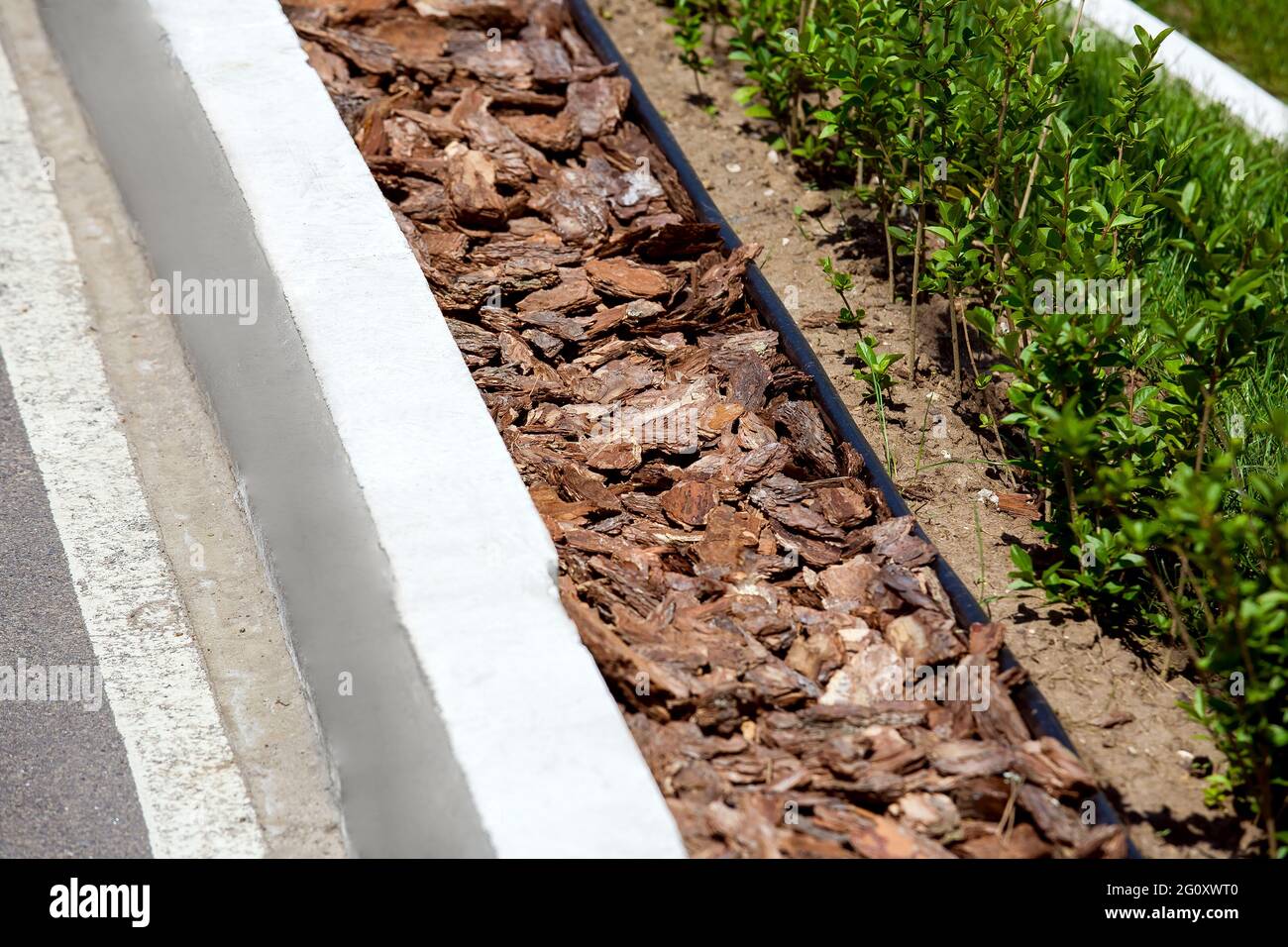 Mulching plants border hi-res stock photography and images - Alamy