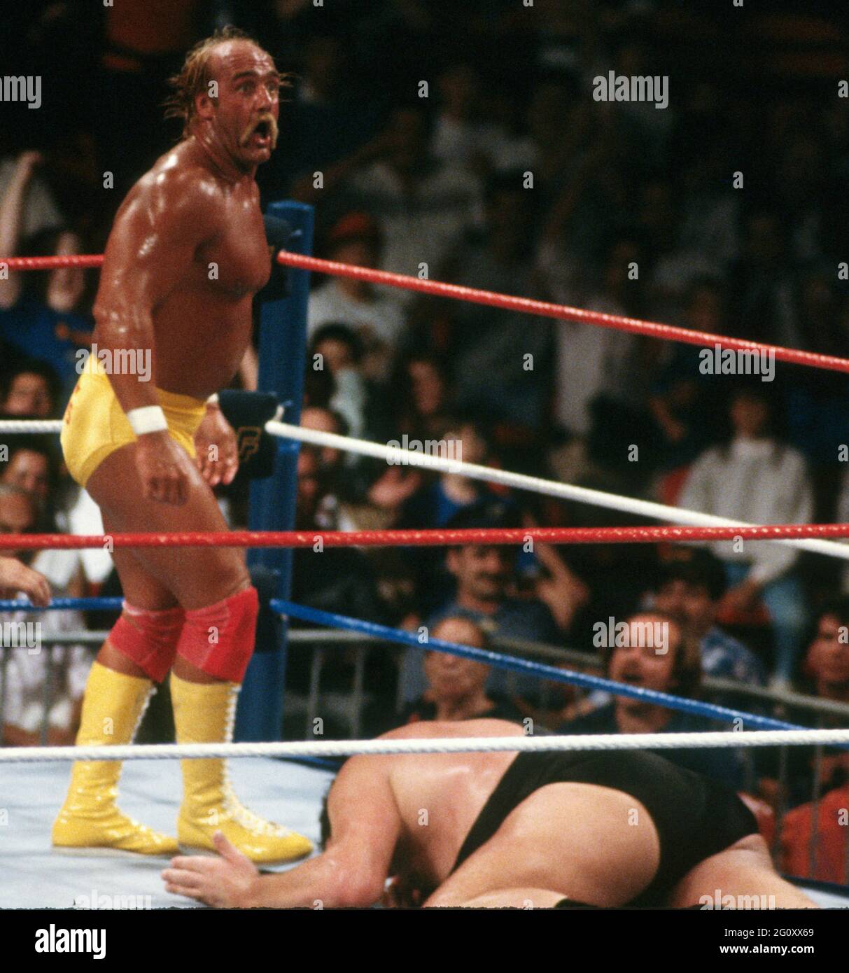 Hulk Hogan Andre The Giant 1989 Photo By John Barrett/PHOTOlink Stock ...