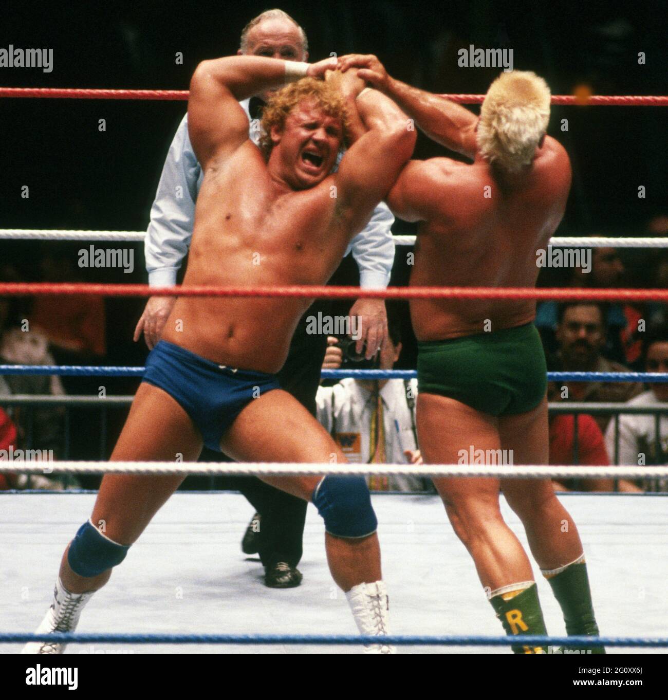 Mr Perfect 1989 Photo By John Barrett/PHOTOlink Stock Photo - Alamy