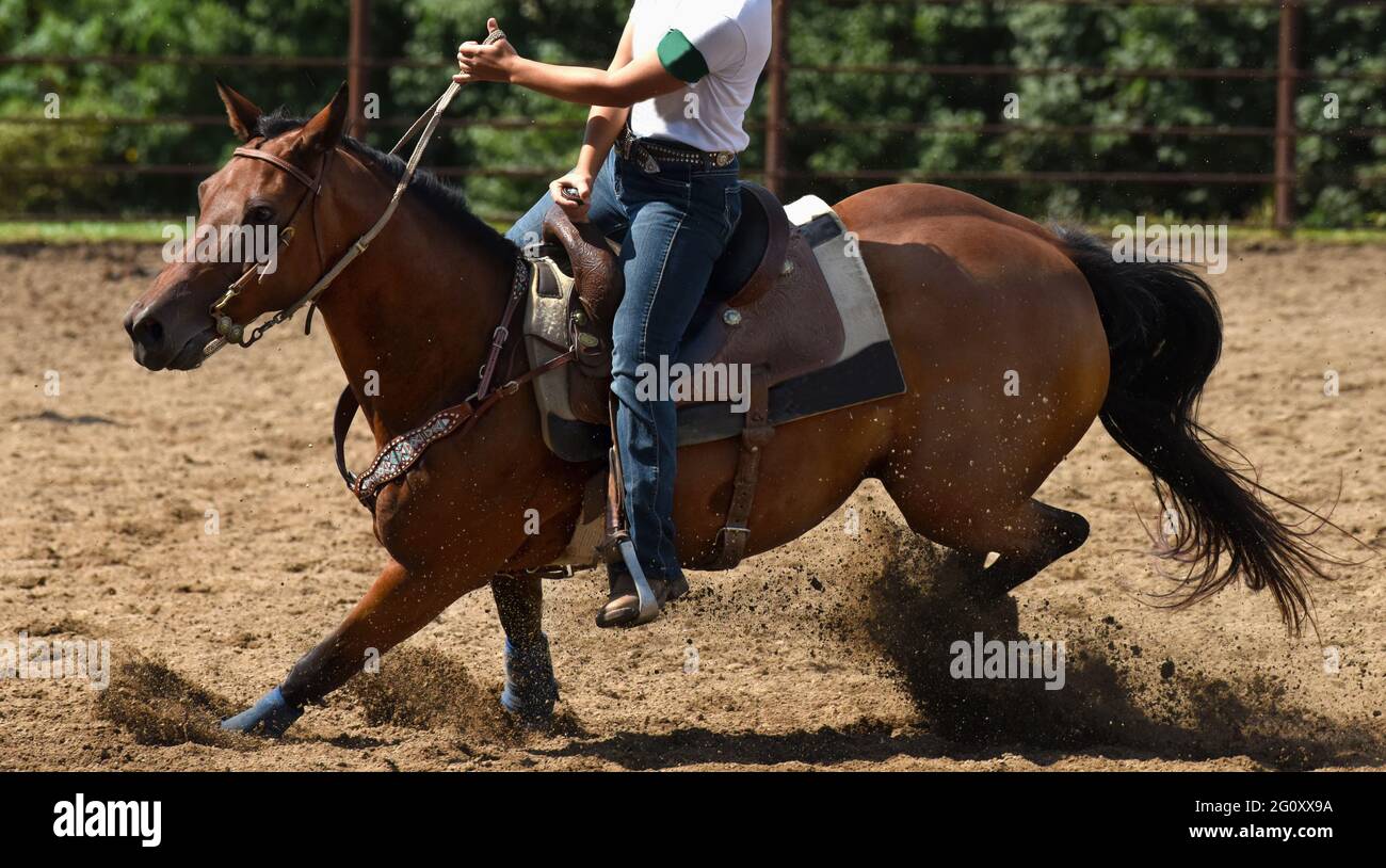A horse and rider gallop during a timed equestrian event Stock Photo ...