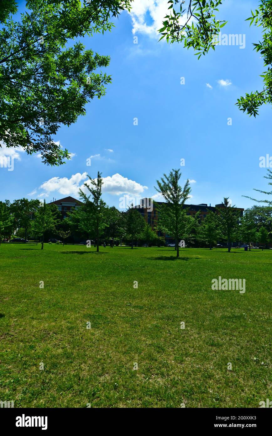 Jarry park hi-res stock photography and images - Alamy