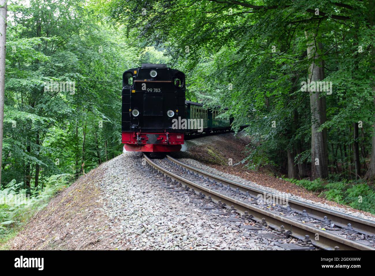 Black-painted train running on the railroad in the woods Stock Photo ...