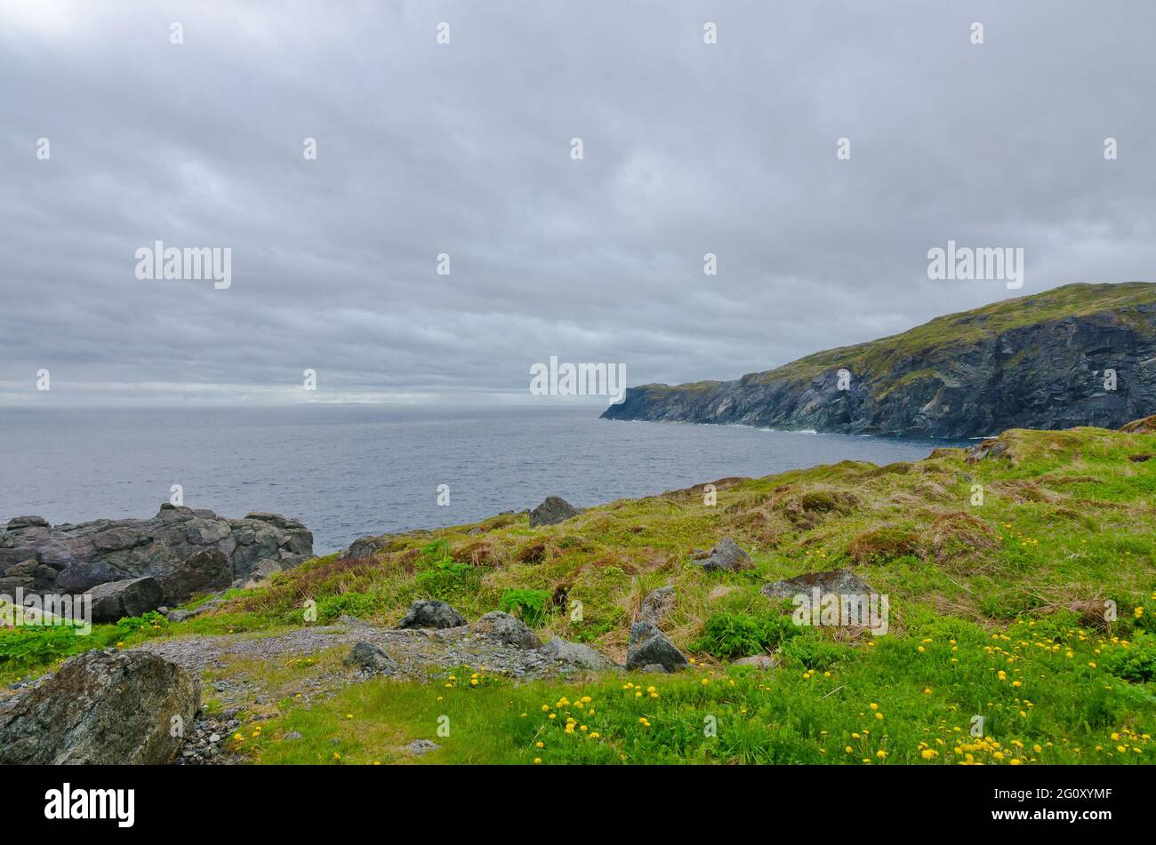 Newfoundland coast in summer time Stock Photo - Alamy