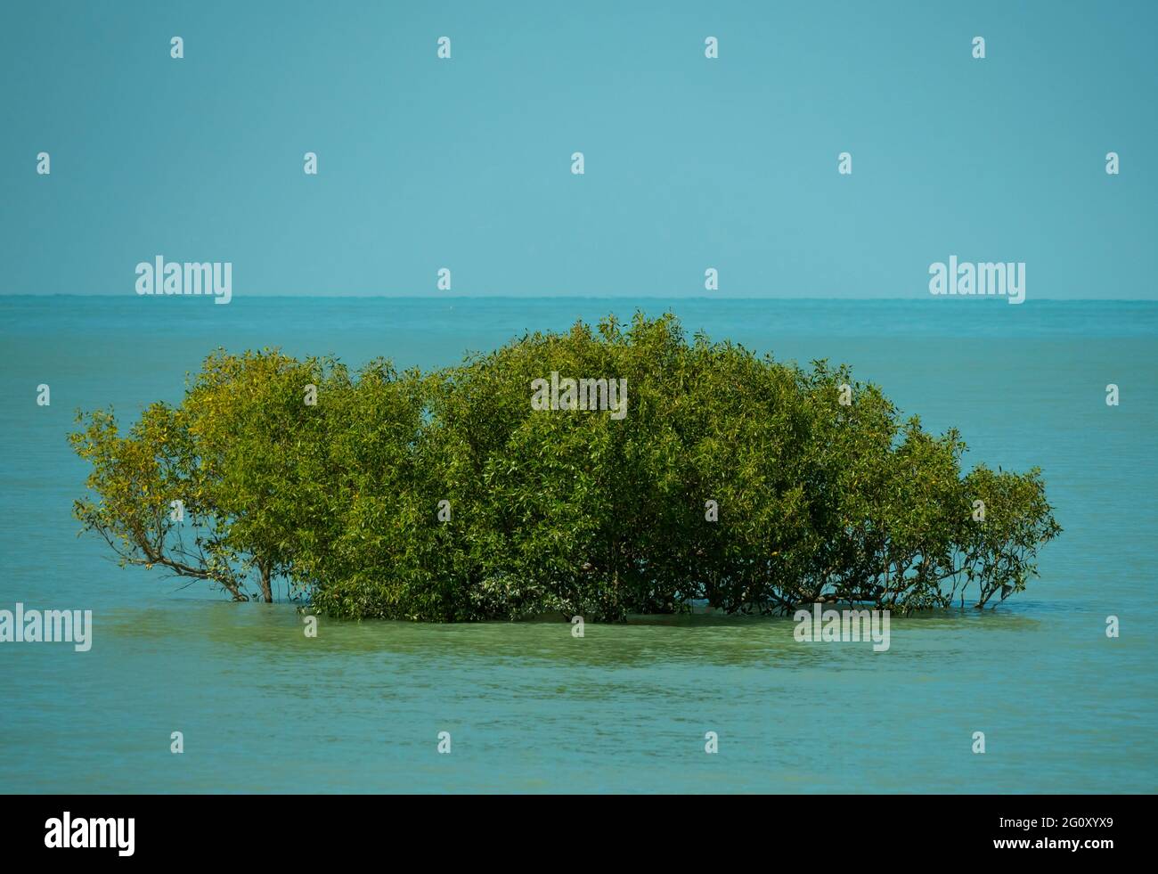 Blue water and sky with green mangroves at Roebuck Bay near Broome ...