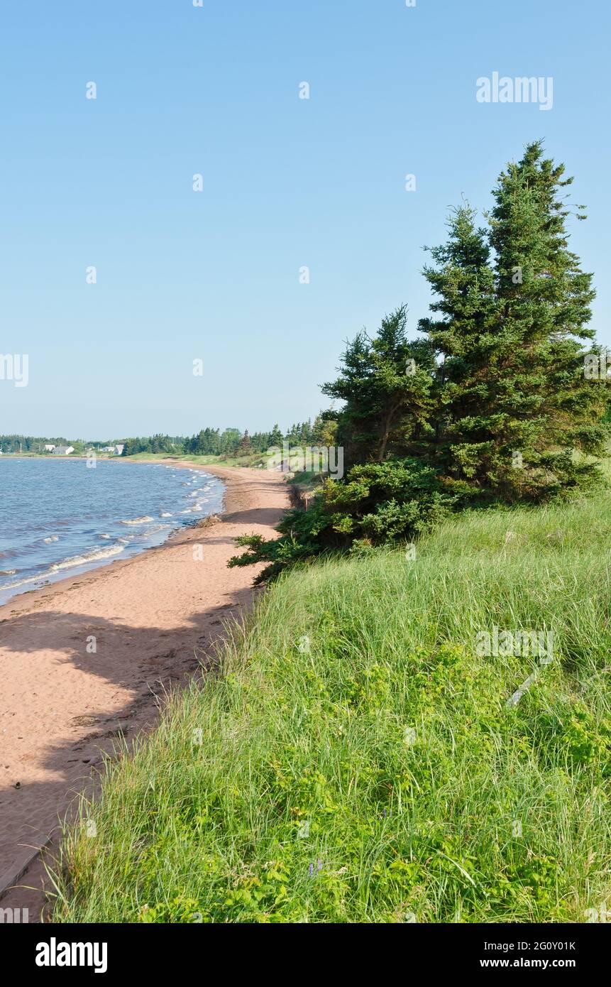 Red sand beach at Prince Edward Island, Canada Stock Photo - Alamy