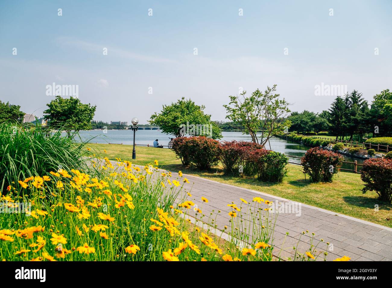 Ilsan_lake_park hi-res stock photography and images - Alamy