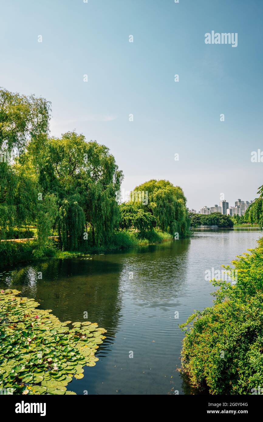 Ilsan korea lake park hi-res stock photography and images - Alamy