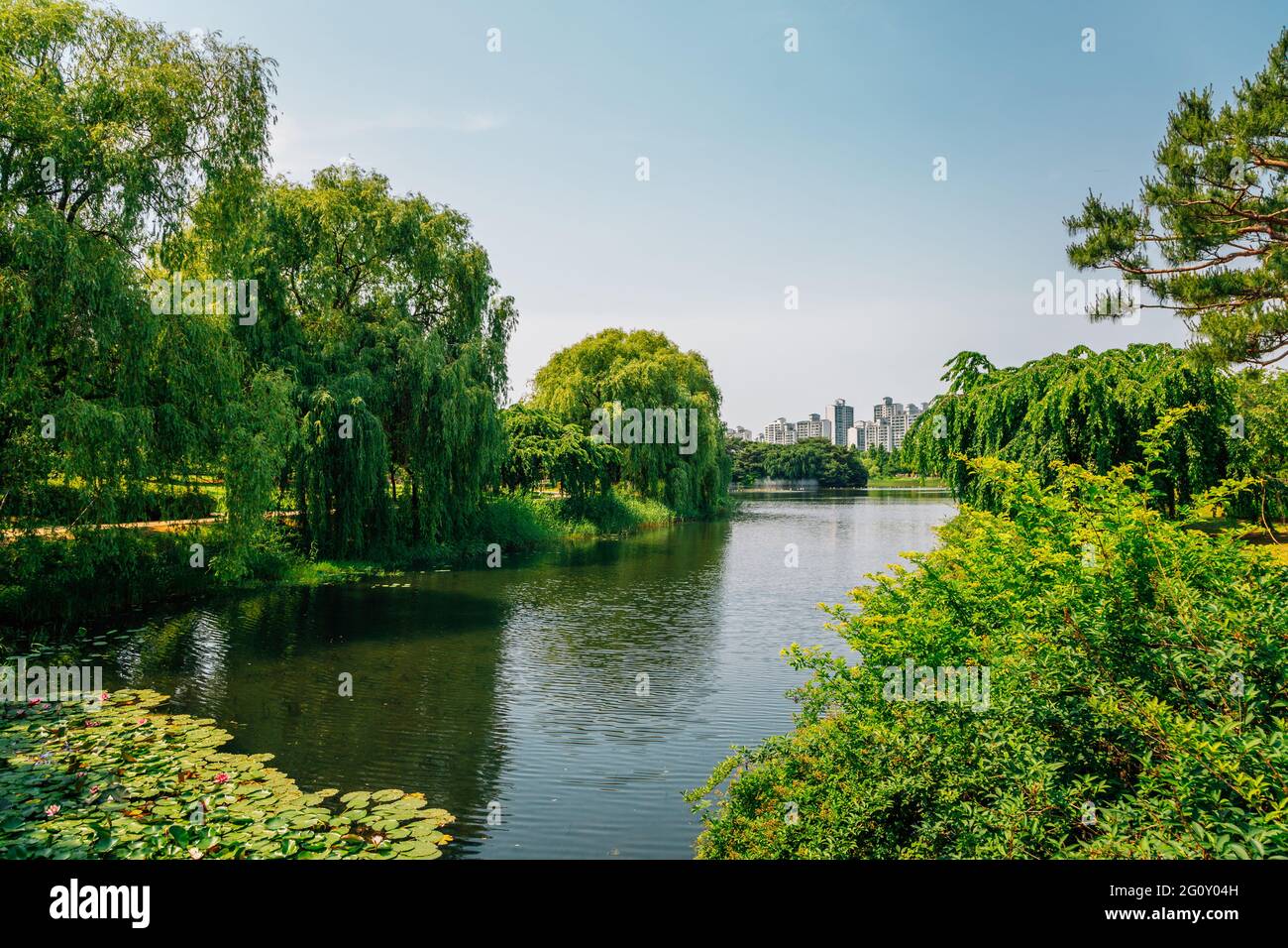 Ilsan Lake Park and modern buildings in Goyang, Korea Stock Photo - Alamy