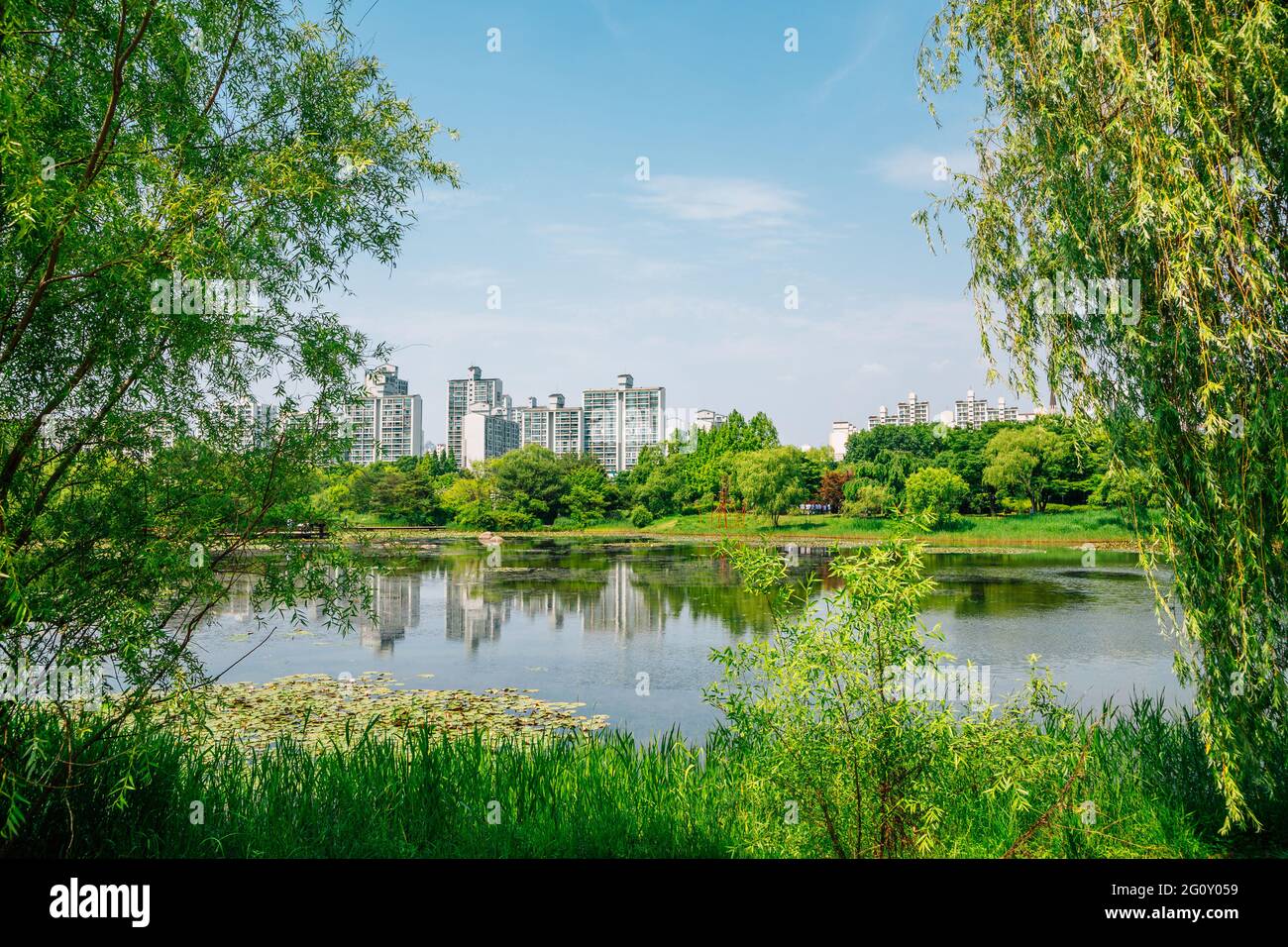 Ilsan Lake Park and modern buildings in Goyang, Korea Stock Photo - Alamy