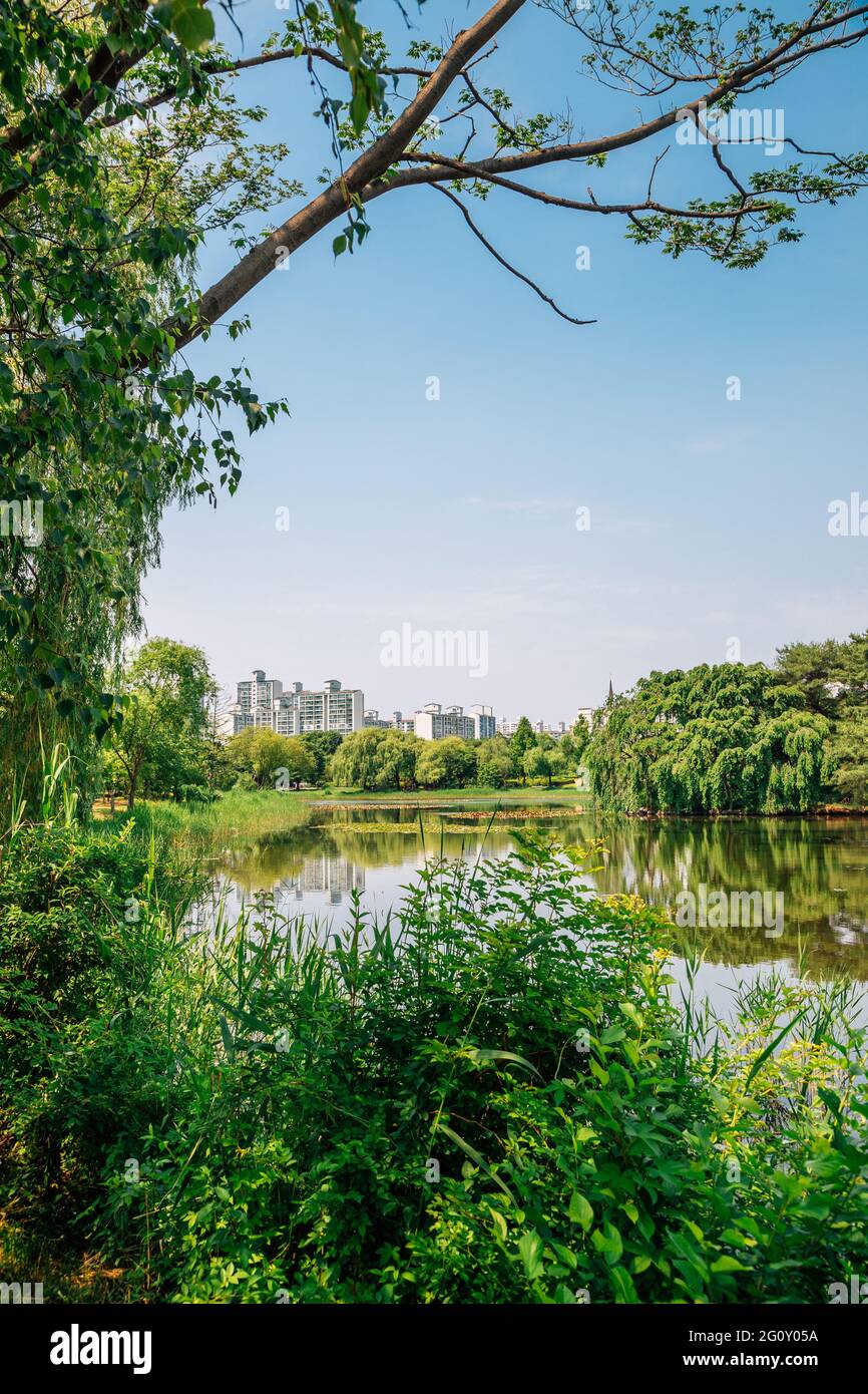 Ilsan Lake Park and modern buildings in Goyang, Korea Stock Photo - Alamy