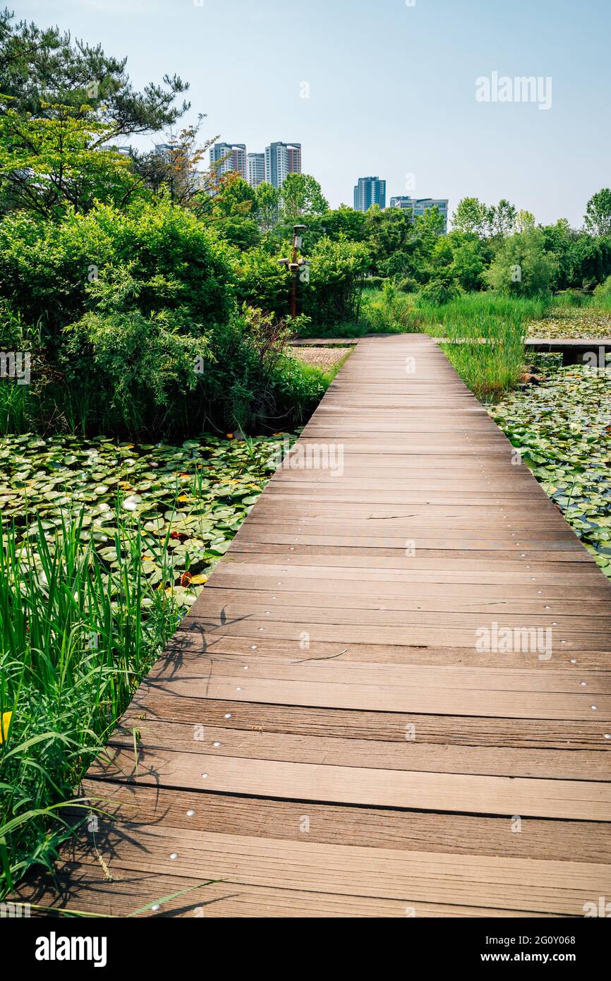 Ilsan Lake Park walkway in Goyang, Korea Stock Photo - Alamy