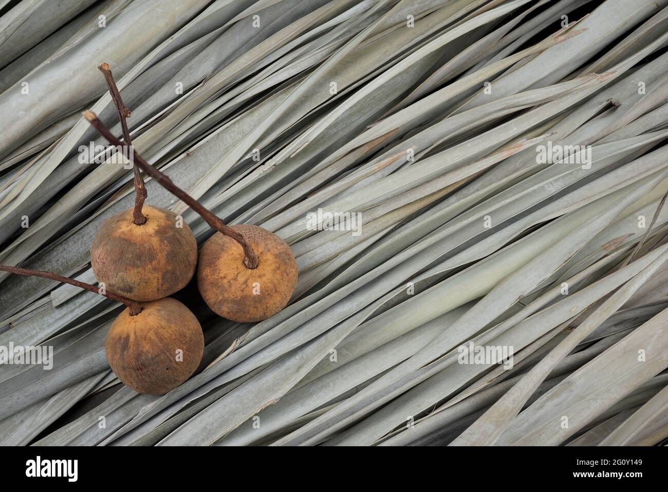 Southeast asia fruit hi-res stock photography and images - Alamy
