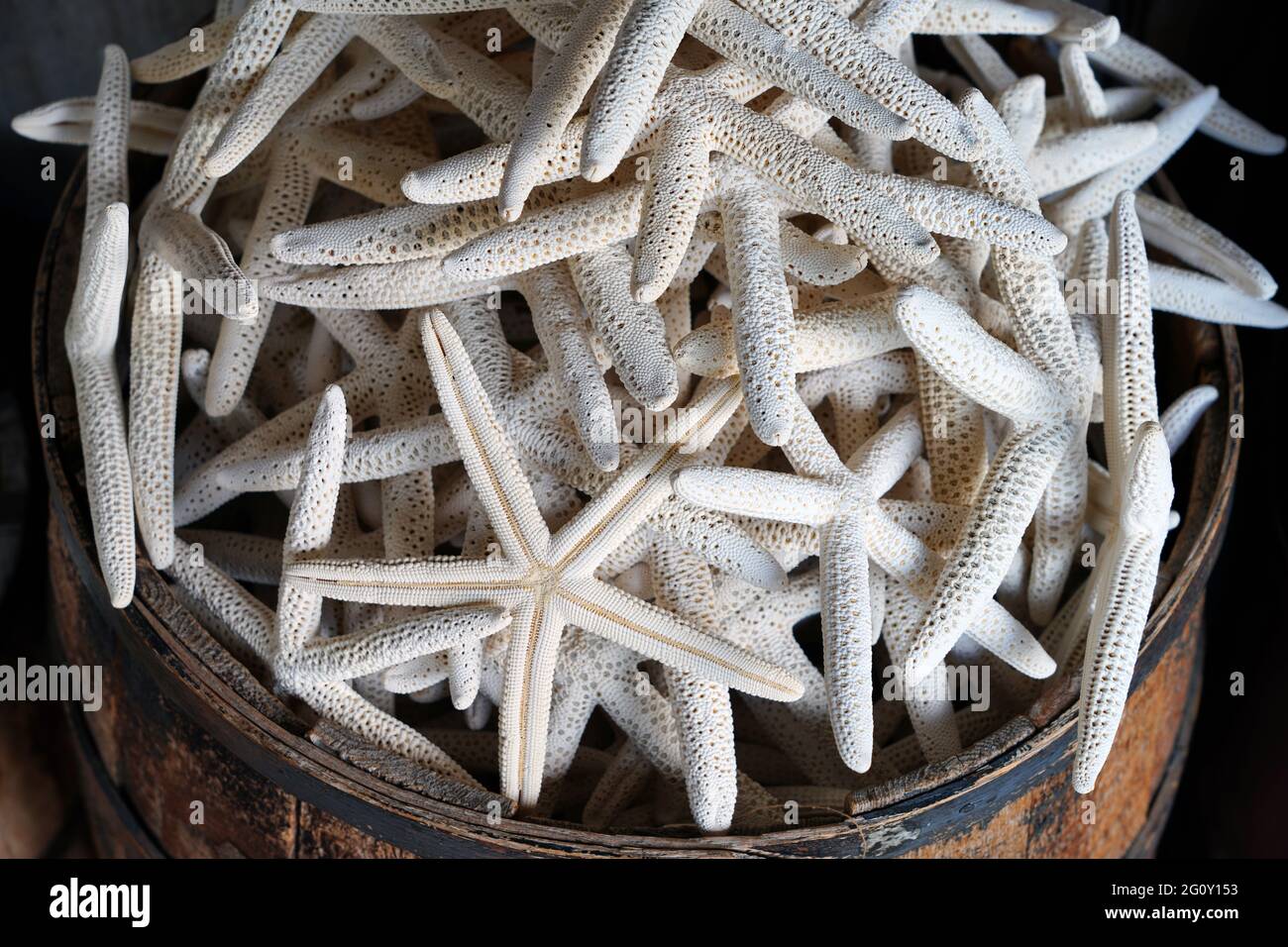 A bucket of dried white starfish Stock Photo - Alamy