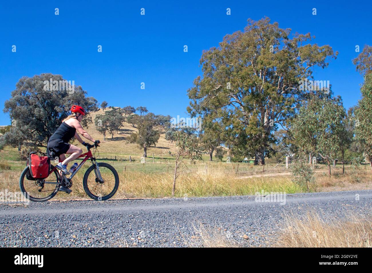 Cyclist on the Great Victorian Rail Trail Stock Photo - Alamy