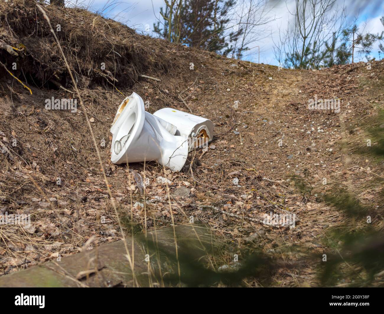 Toilet Litter. Pollution of the forest by household rubbish on nature ...