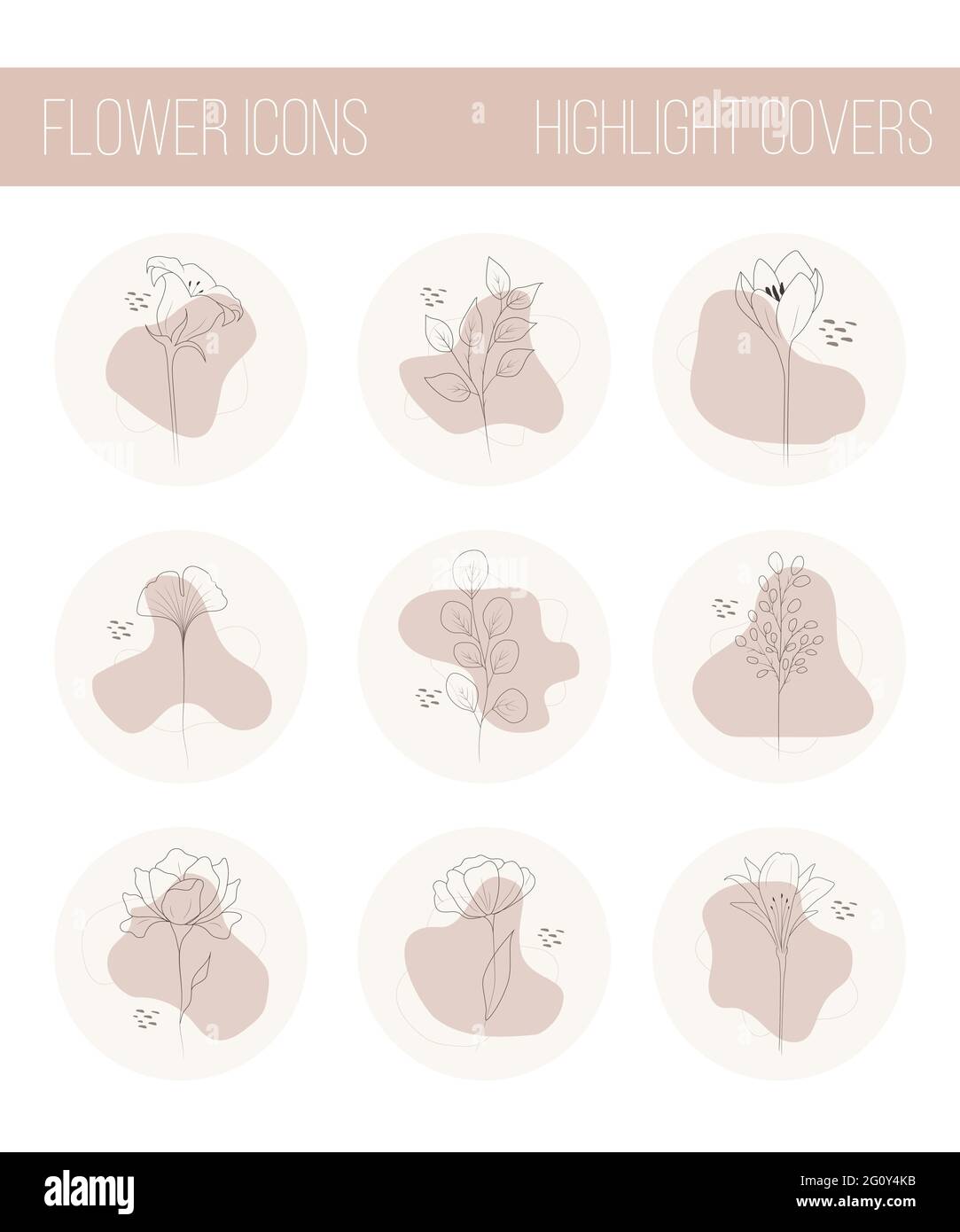 Set of contemporary hand drawn flowers. Highlights Stories Covers for ...
