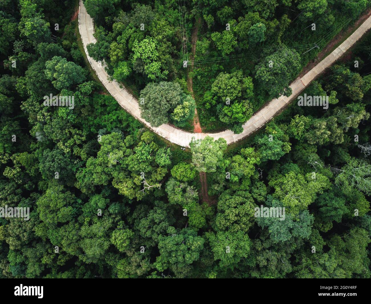 green forest in the tropics from above and the road in the forest Stock ...