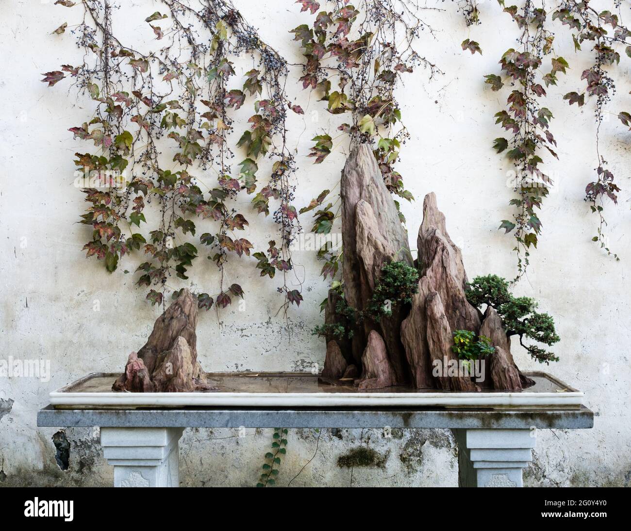 Miniature rock garden oriental bonsai installation Stock Photo - Alamy