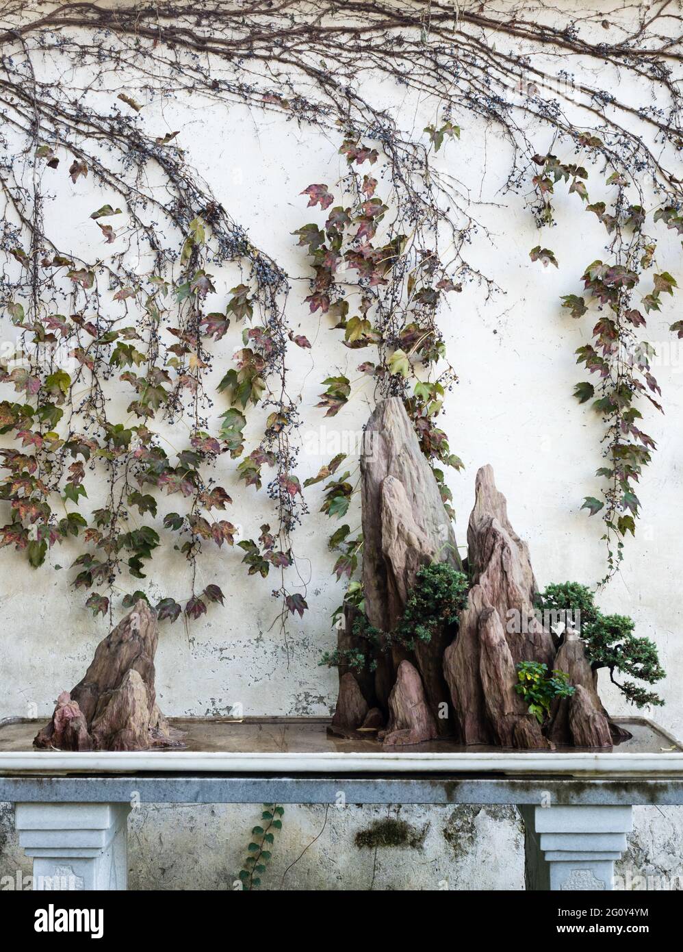 Miniature rock garden oriental bonsai installation Stock Photo - Alamy