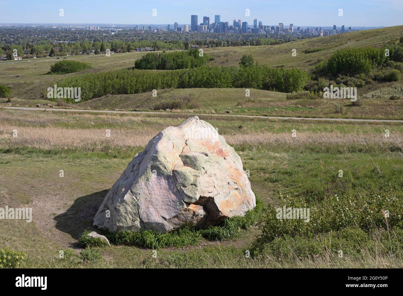 Quartzite erratic carried by glacier from Mount Edith Cavell to the ...