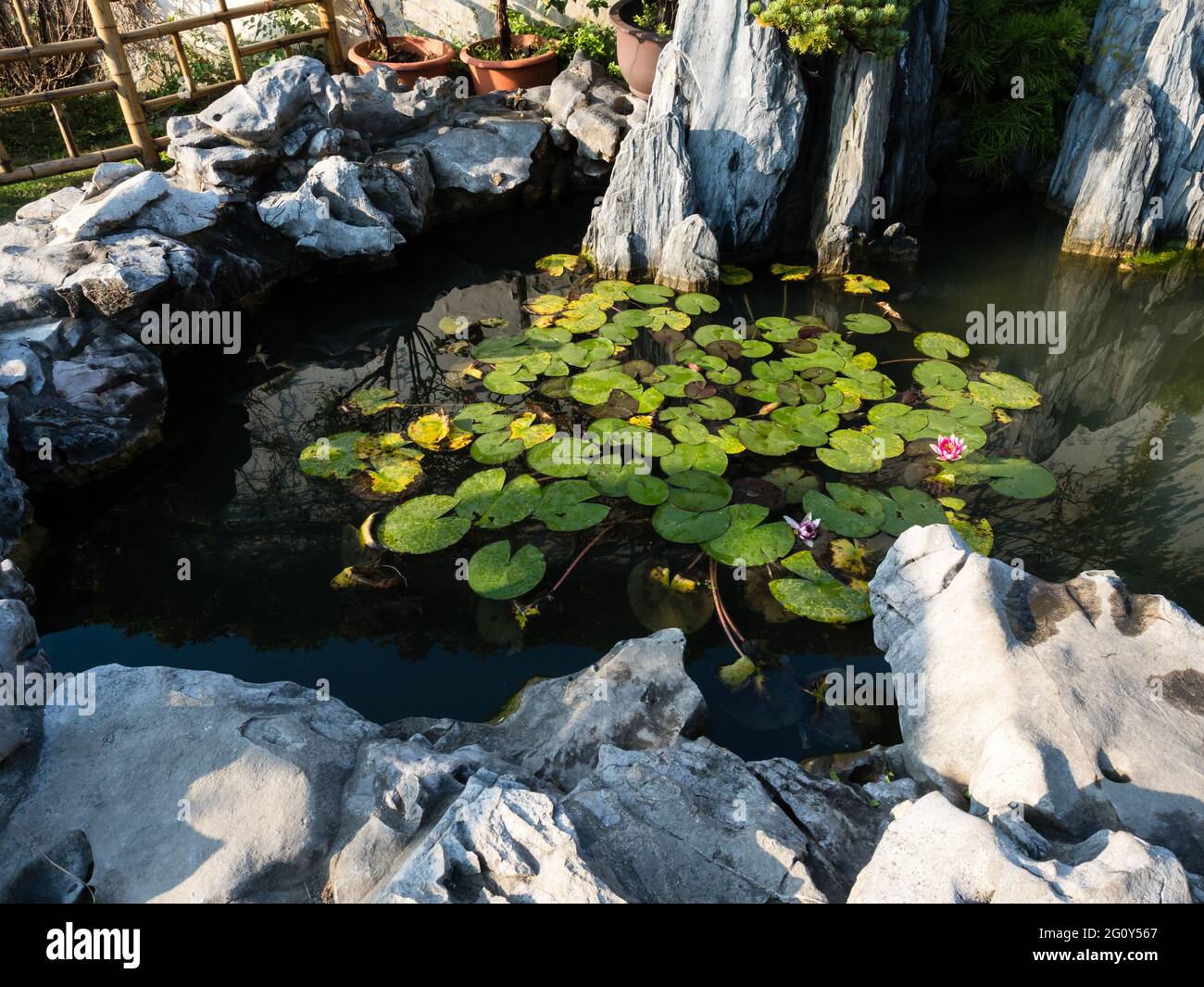 Classical chinese rock garden hi-res stock photography and images - Alamy