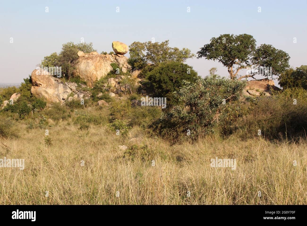 Afrikanischer Busch / African Bush Stock Photo - Alamy