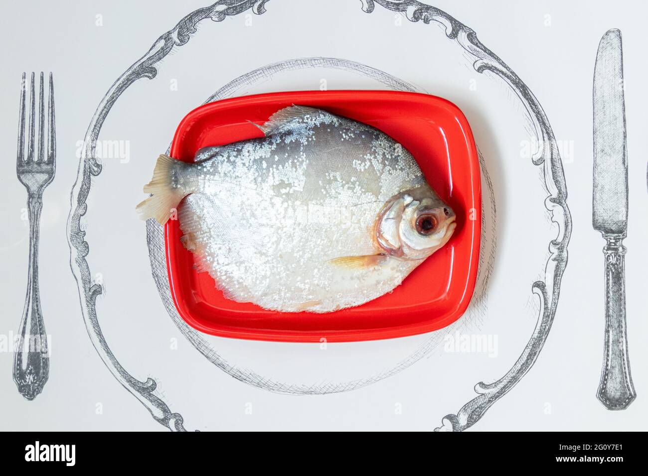 Palometa fish hi-res stock photography and images - Alamy