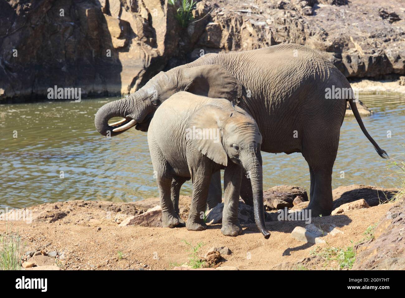 Mphongolo river hi-res stock photography and images - Alamy