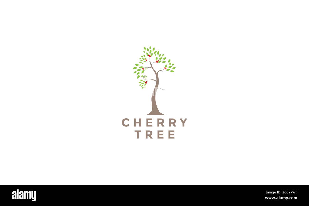 Cherry blossom logo vector Cut Out Stock Images & Pictures - Alamy