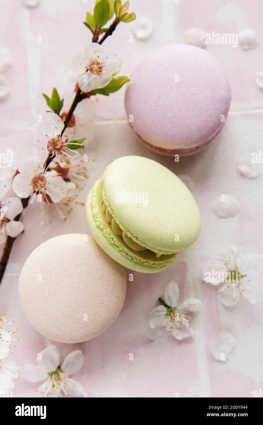 French sweet macaroons colorful variety on a pink tile background with ...