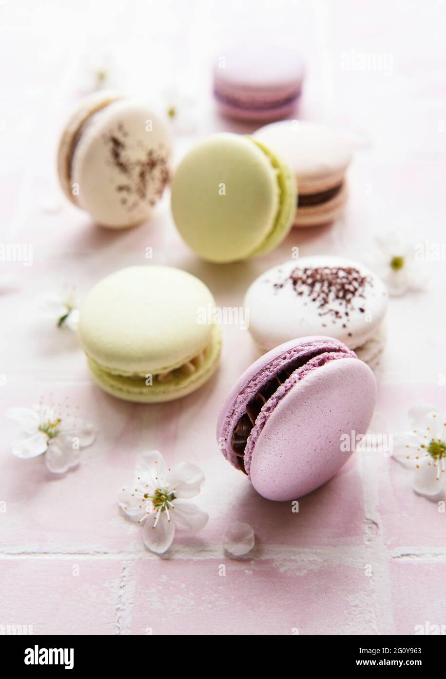 French sweet macaroons colorful variety on a pink tile background with ...