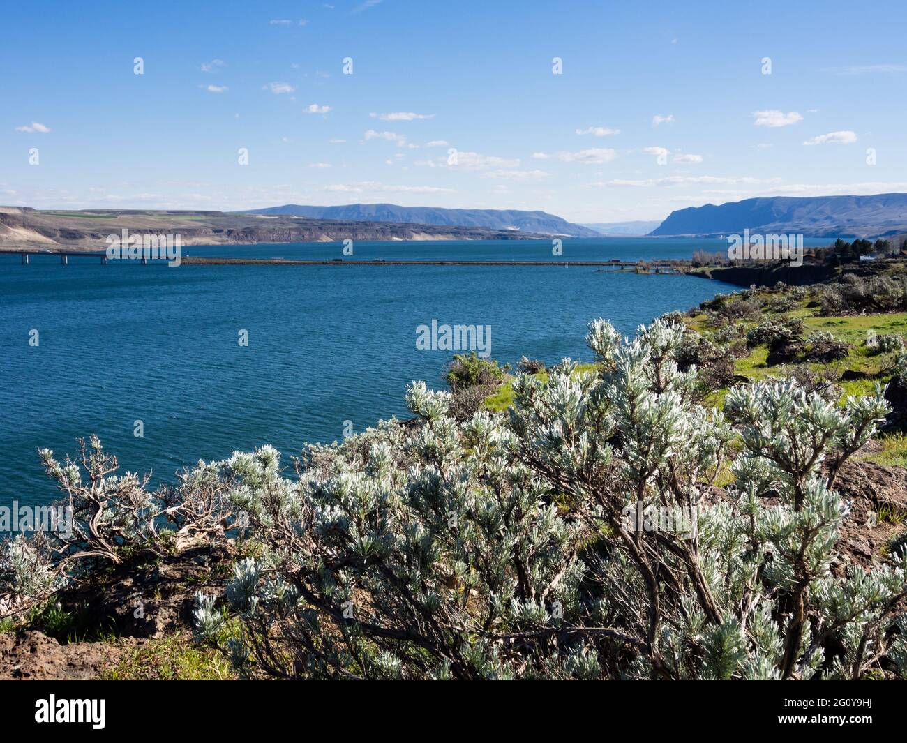 View over Columbia river and I-90 Vantage bridge from Ginkgo Petrified ...