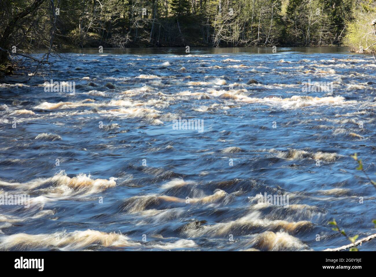 Calm creek flowing through hi-res stock photography and images - Alamy
