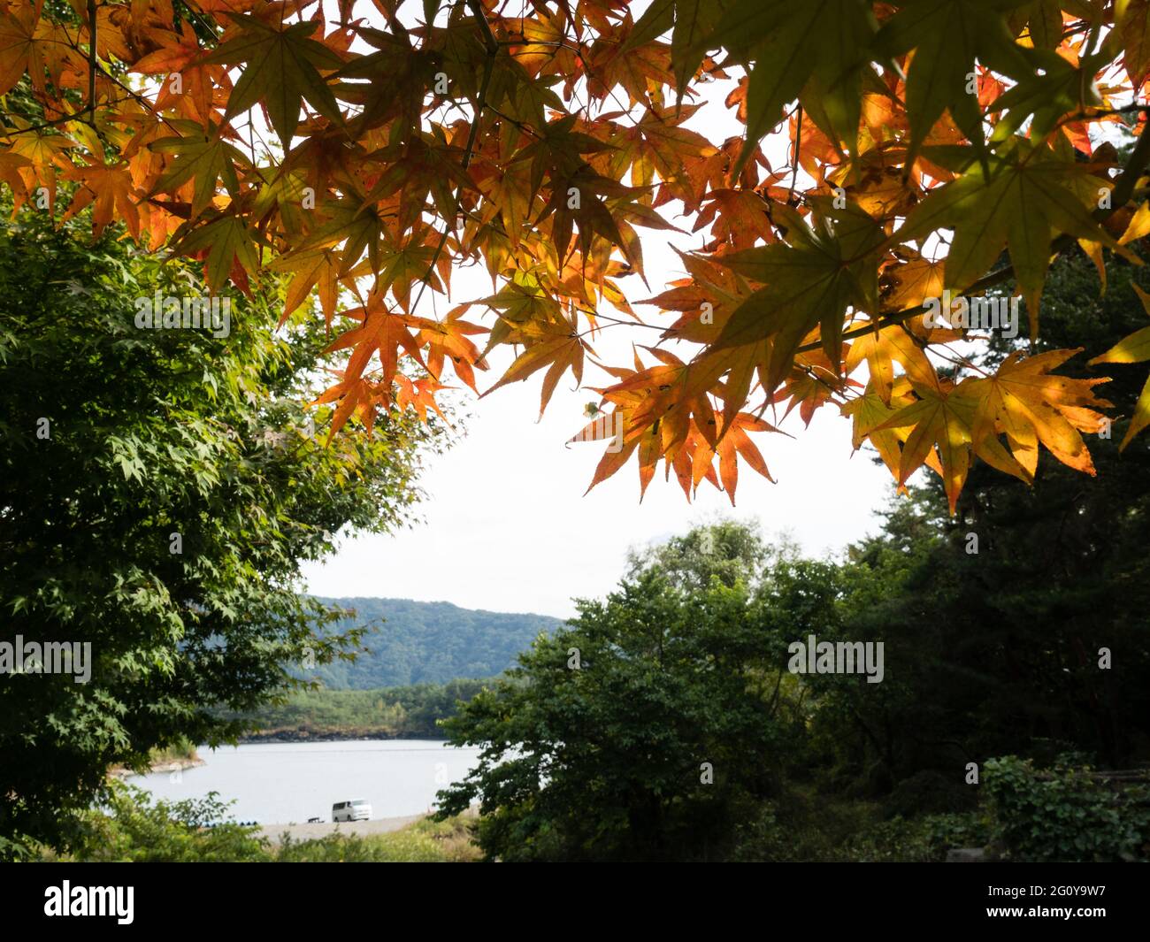 Early fall at Lake Saiko - Fuji Five Lakes, Japan Stock Photo - Alamy