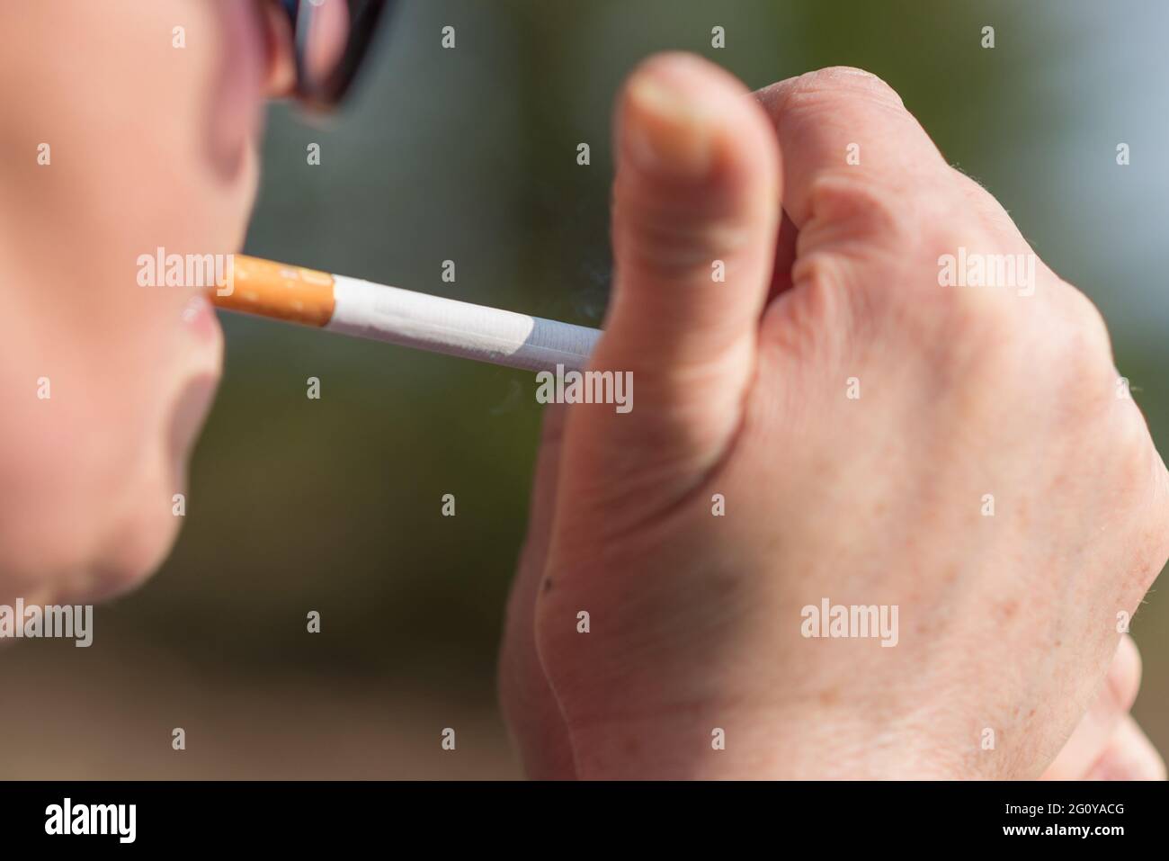 Lithuania tobacco hi-res stock photography and images - Alamy