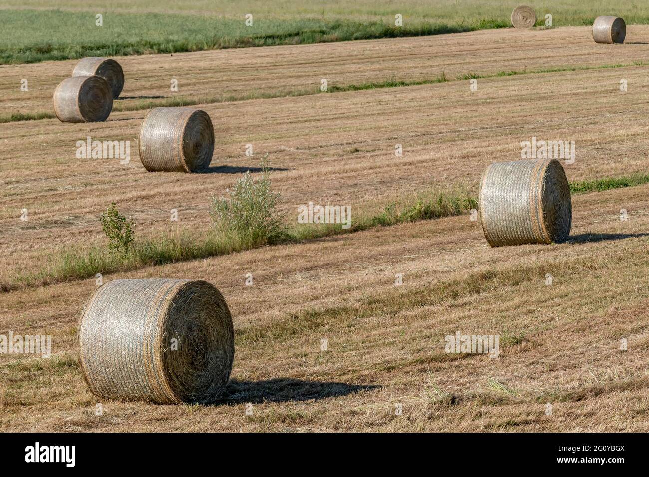 Large Hay Bales High Resolution Stock Photography and Images - Alamy