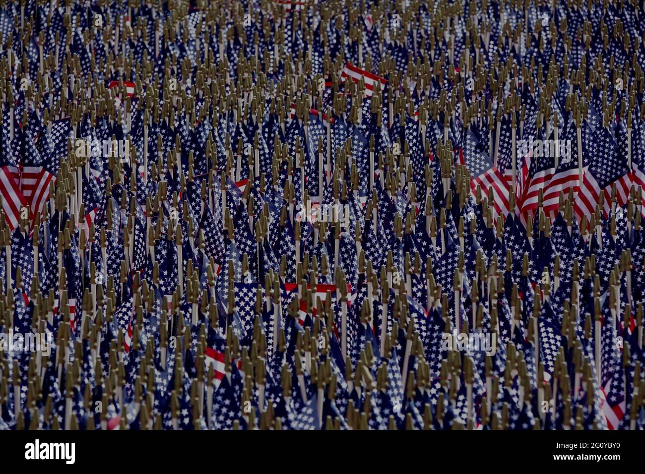 A collection of American Flags on a field in tribute Stock Photo - Alamy