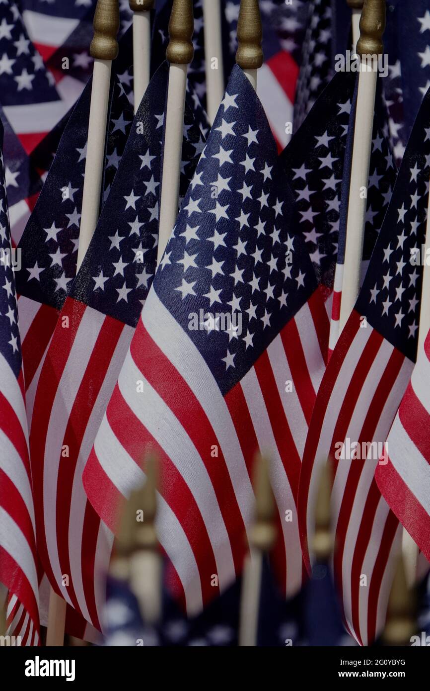 A collection of American Flags on a field in tribute Stock Photo - Alamy