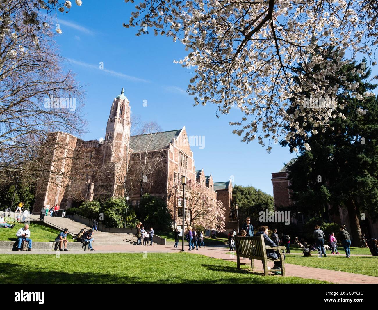 Washington state university campus hi-res stock photography and images ...