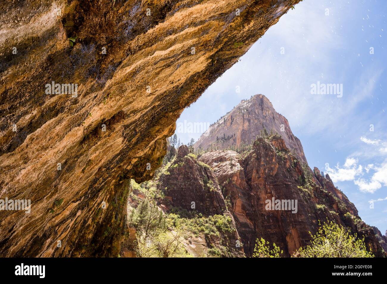 Zion Weeping Rock Formation High Resolution Stock Photography and ...