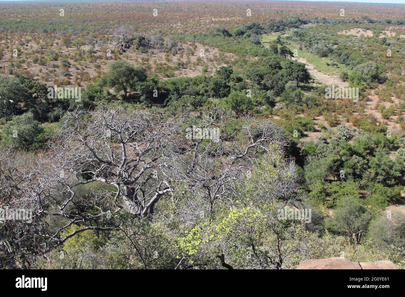 Tsendze River / Tsendze River Stock Photo - Alamy