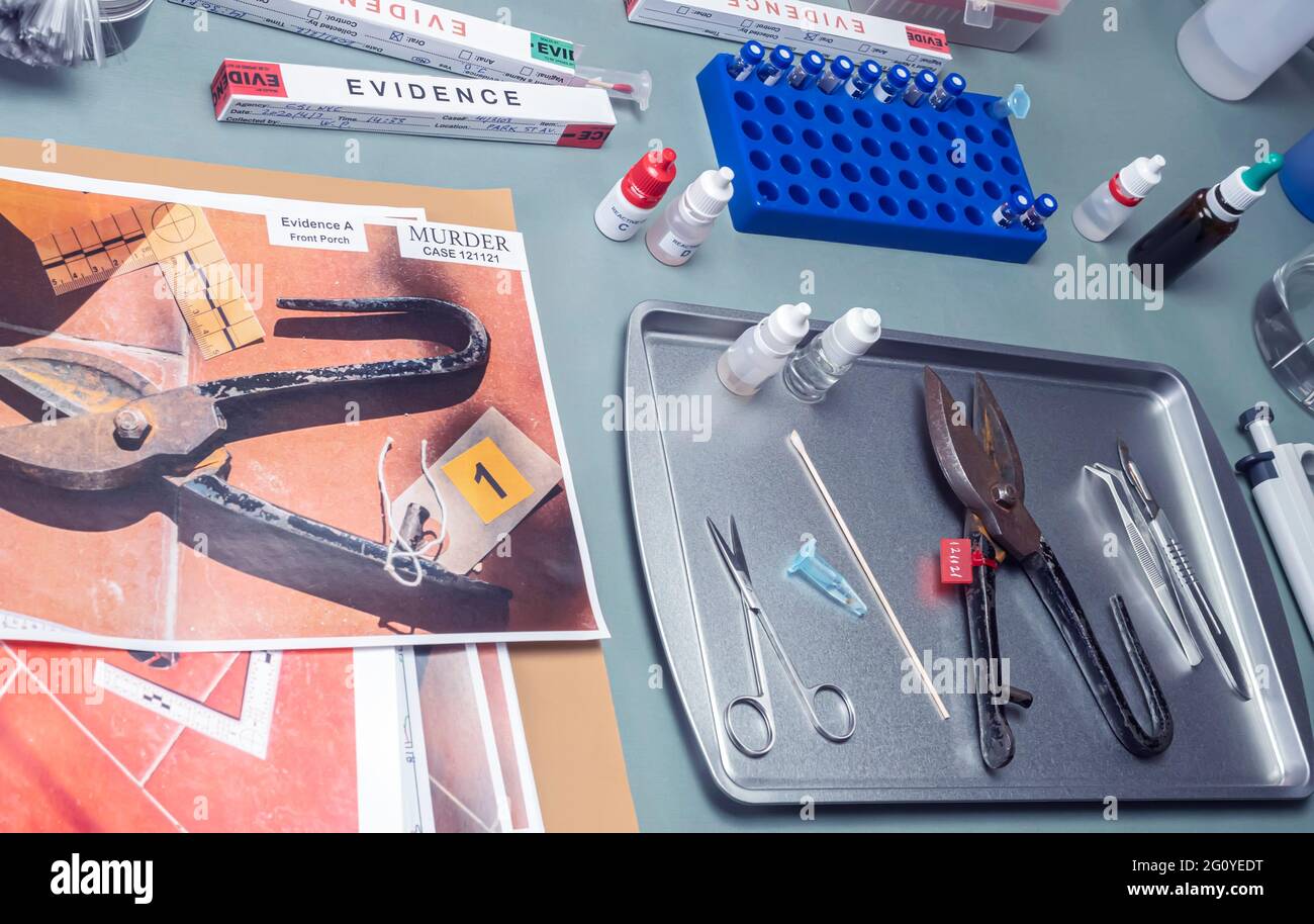 Police scientist extracts DNA sample from a pair of pliers in a crime ...