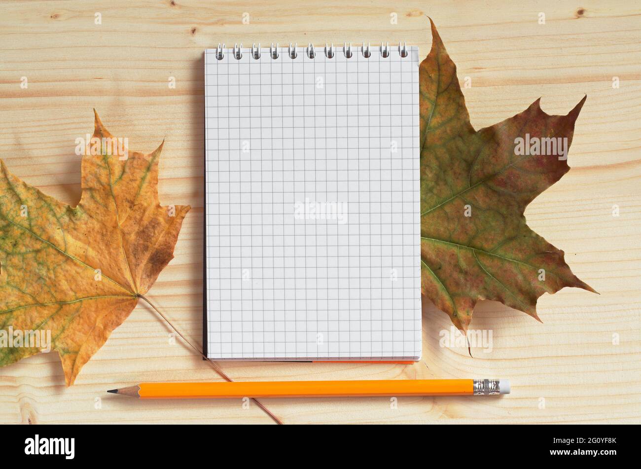 Notebook with a pencil and autumn leaves on the wooden background, top ...