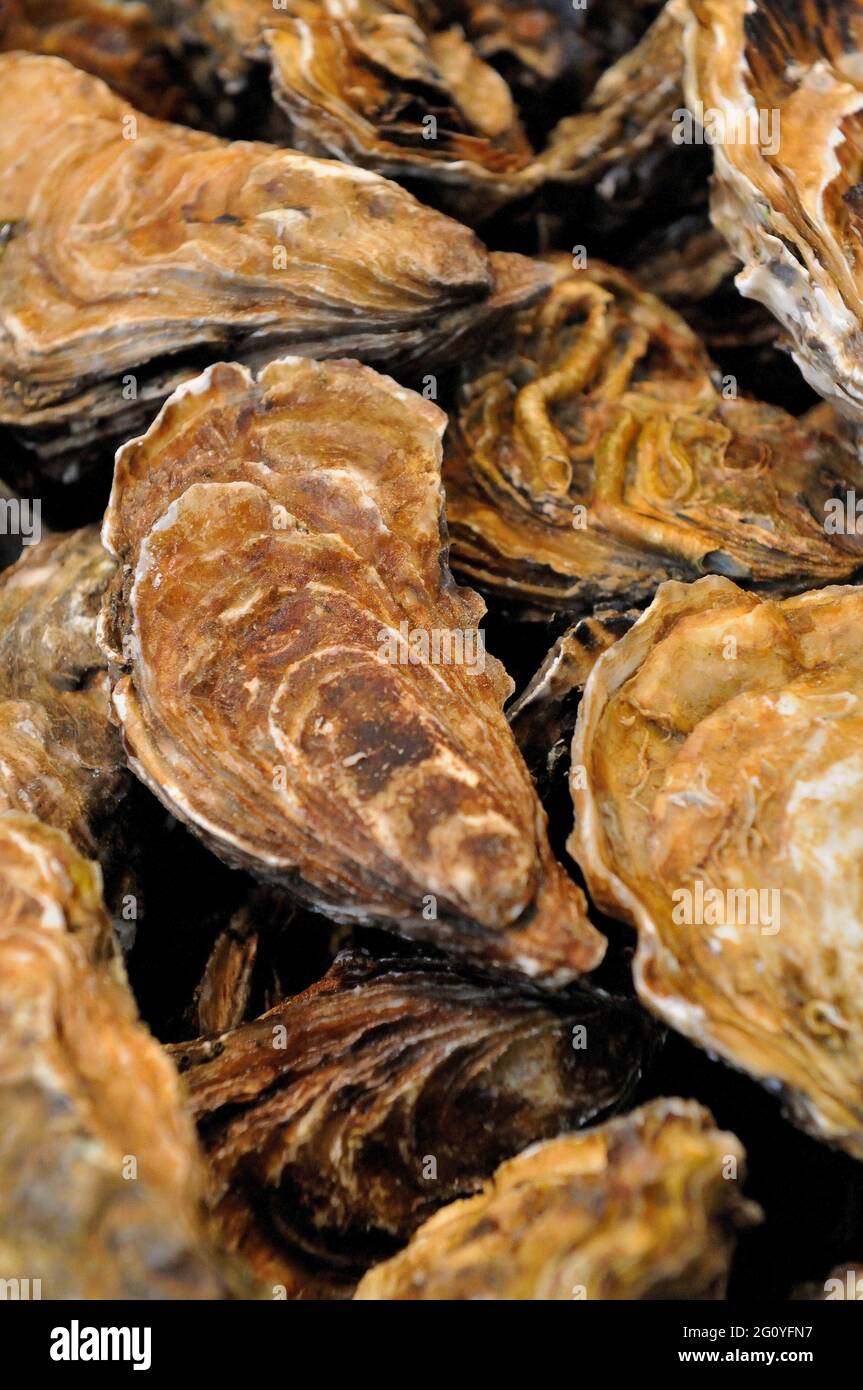 Rochelle Food Places at Sofia Flick blog