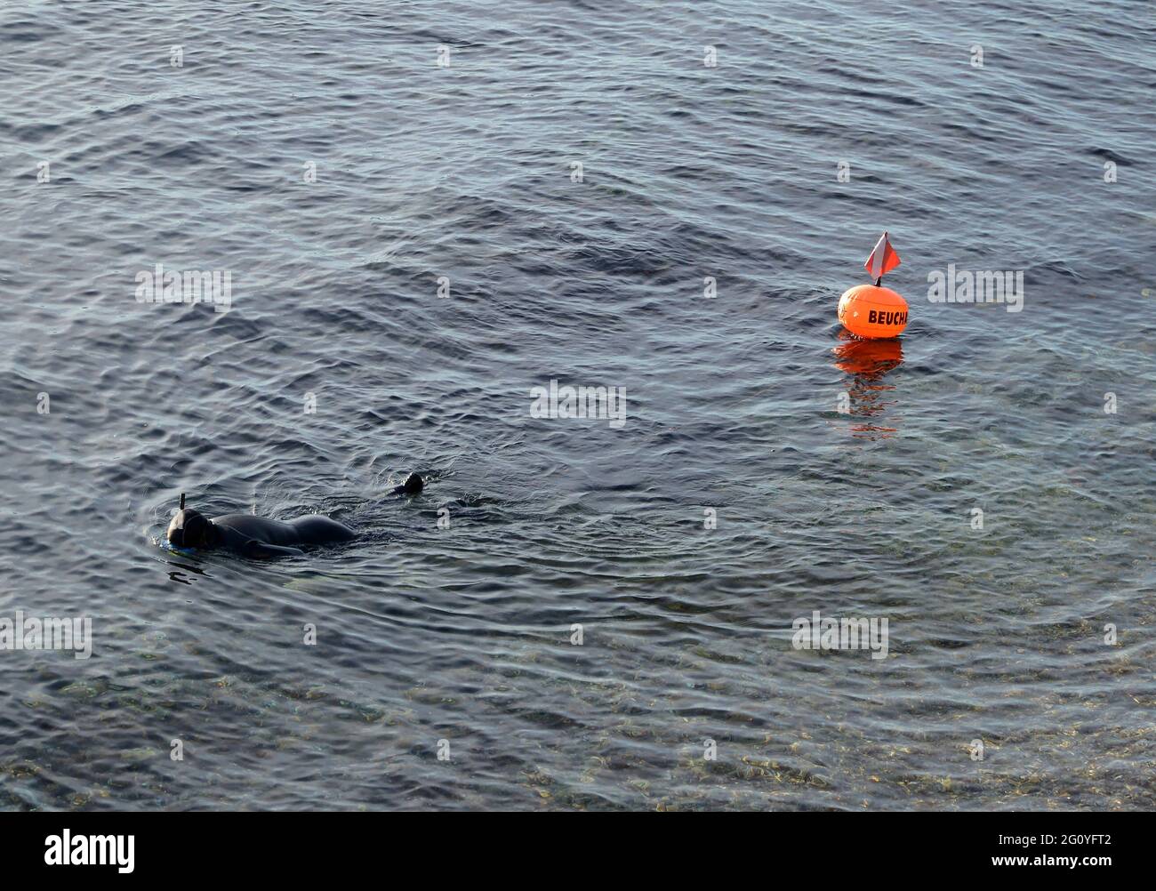 Underwater hunter in action with its floating signaling buoy Stock ...