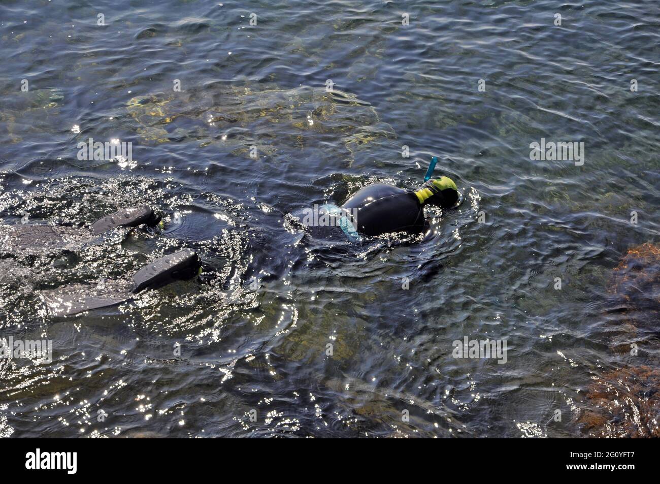 Underwater hunter in action Stock Photo - Alamy