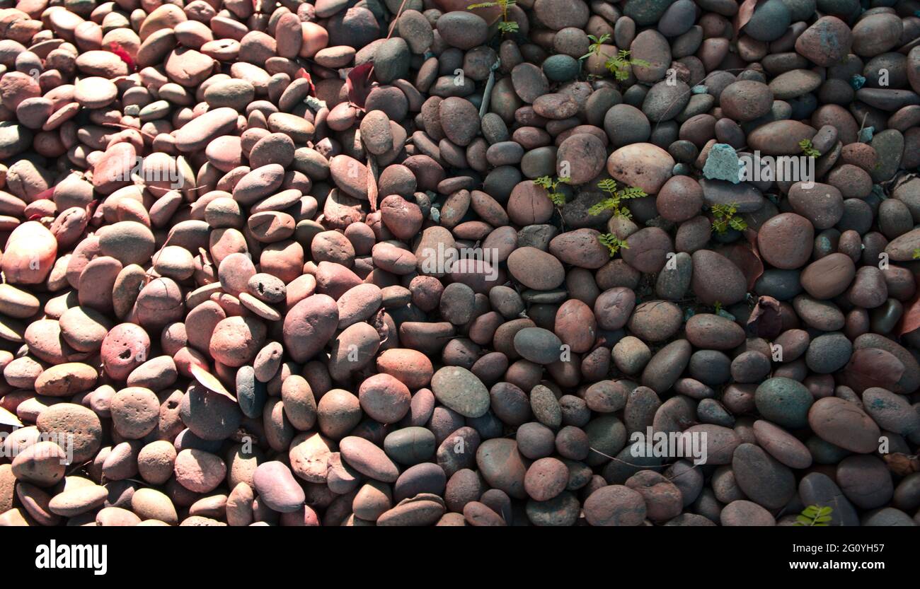 Natural colored pink pebble stones with radial sunlight. Rock abstract ...