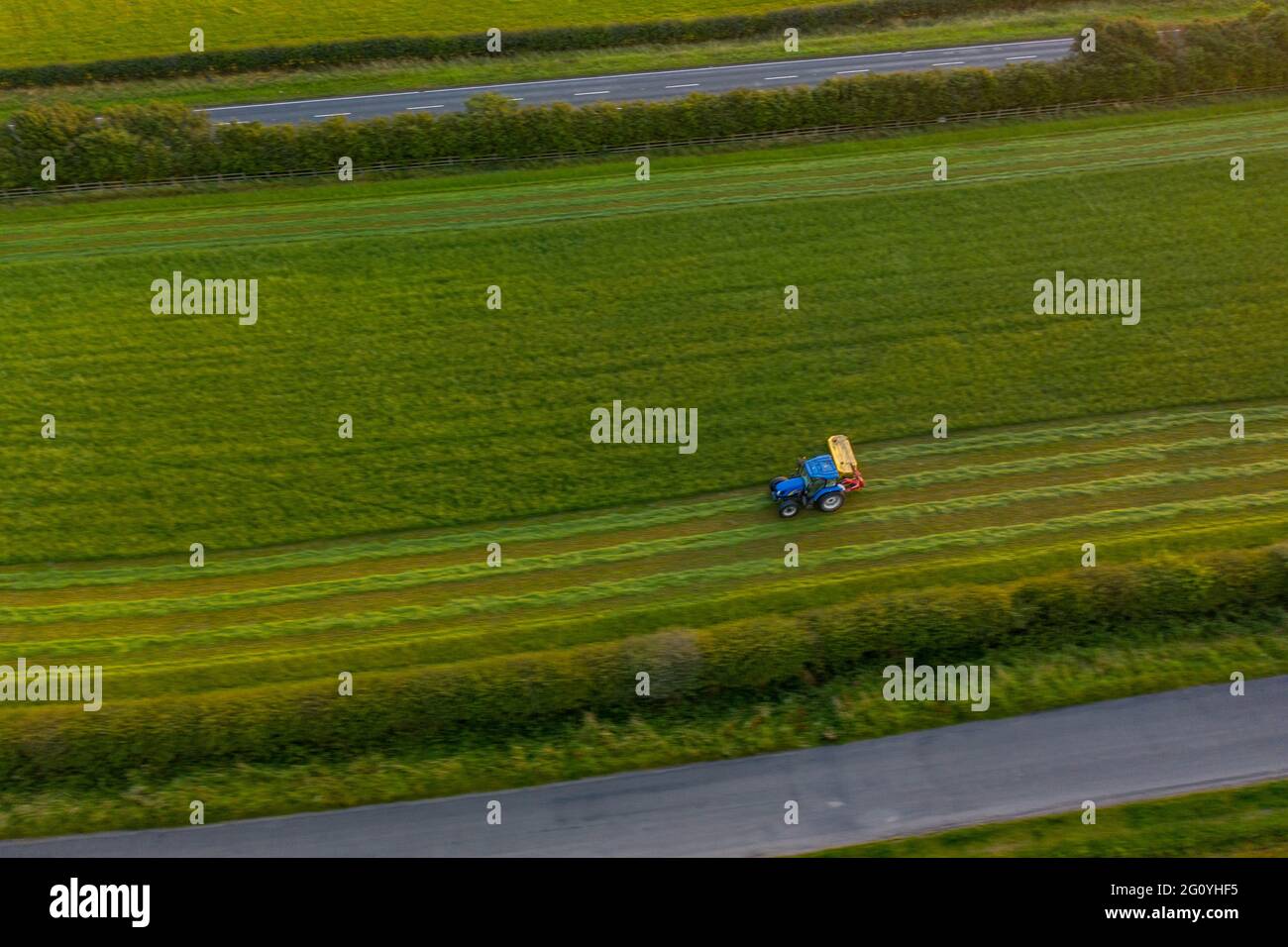 Blue dolphin holiday park filey hi-res stock photography and images - Alamy