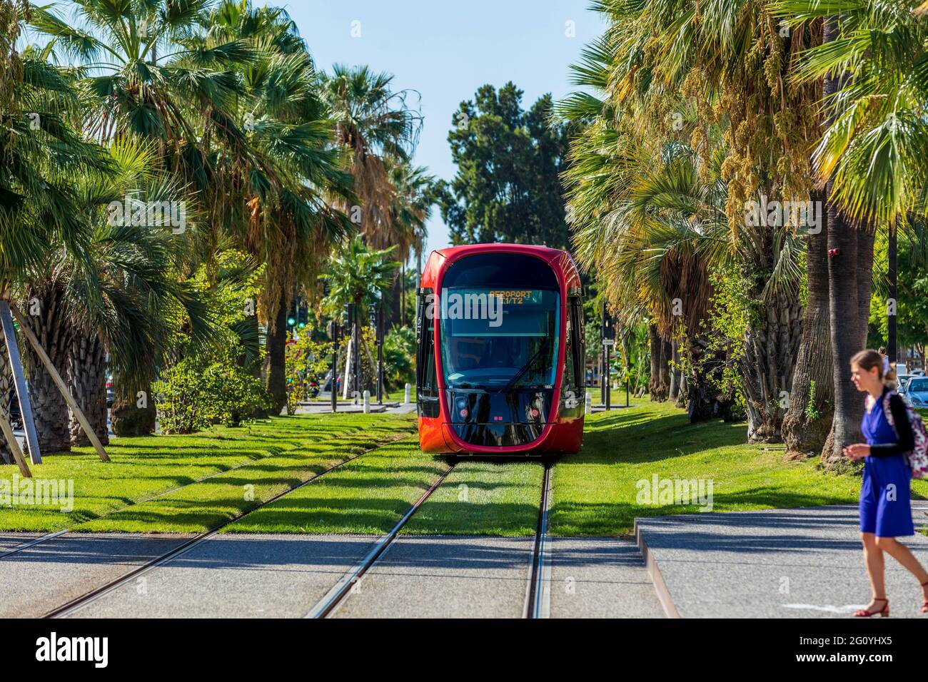 FRANCE, ALPES-MARITIMES (06) NICE, TRAMWAY LINE 2 Stock Photo - Alamy