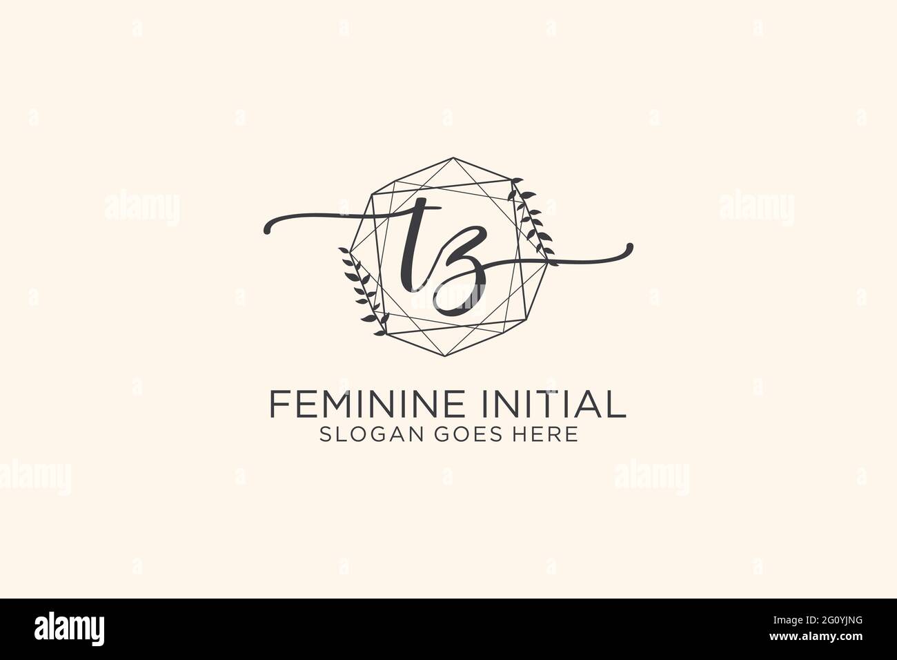 Tz minimal logo design hi-res stock photography and images - Alamy